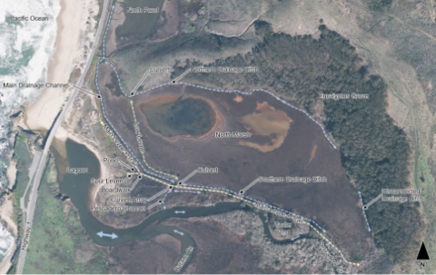 Pescadero Marsh Habitat Restoration and Resiliency Project | San Mateo RCD